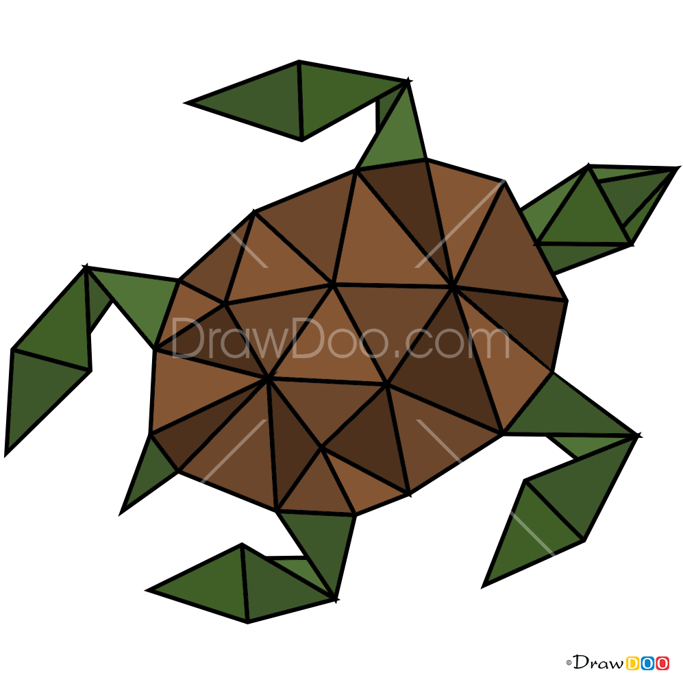 How to Draw Turtle, Geometric Animals